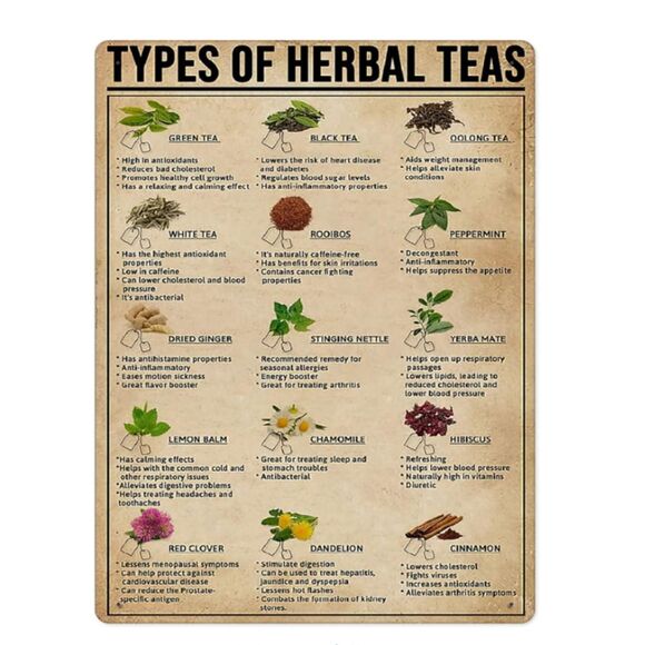 Amazon | Wall Decor | Types Of Herbal Teas Kitchen Wall Cafe Art ...
